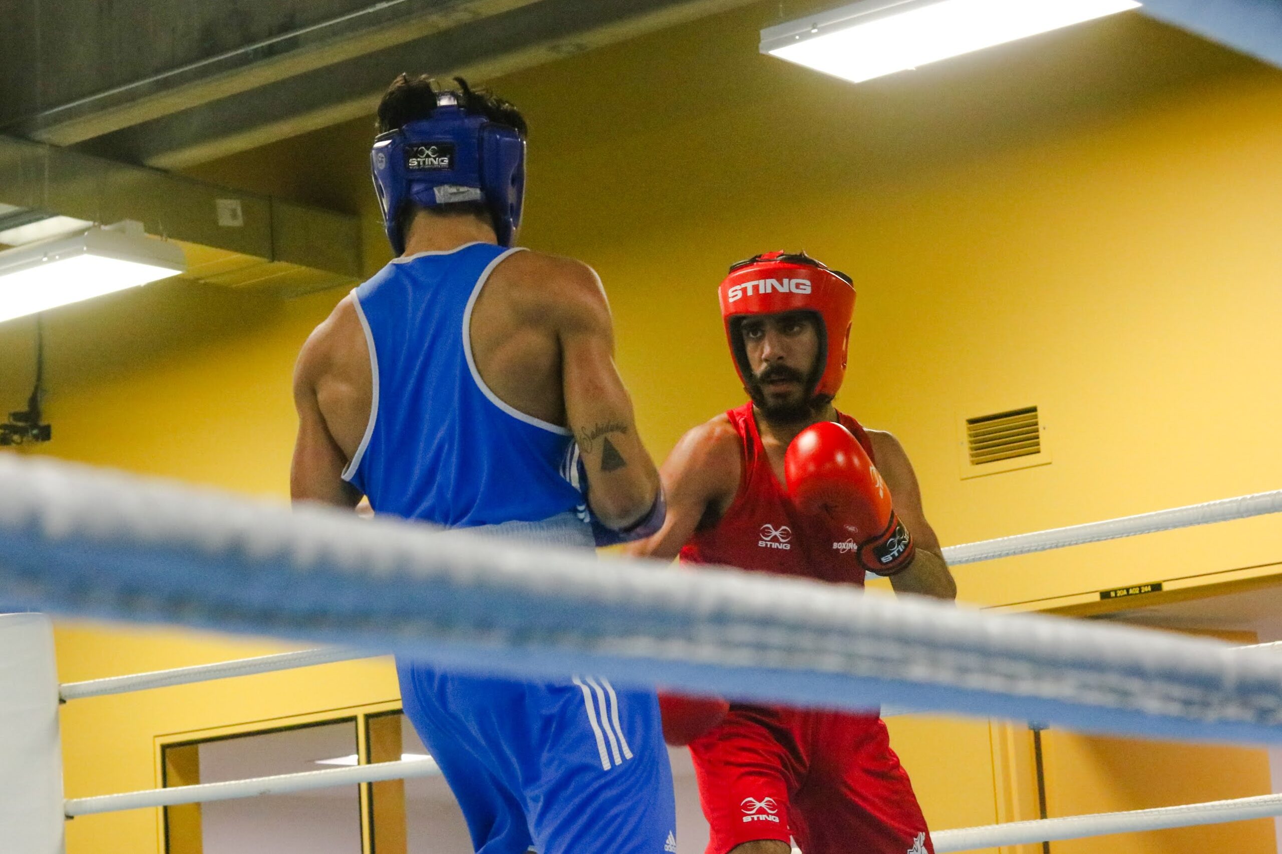News | Boxing Ontario