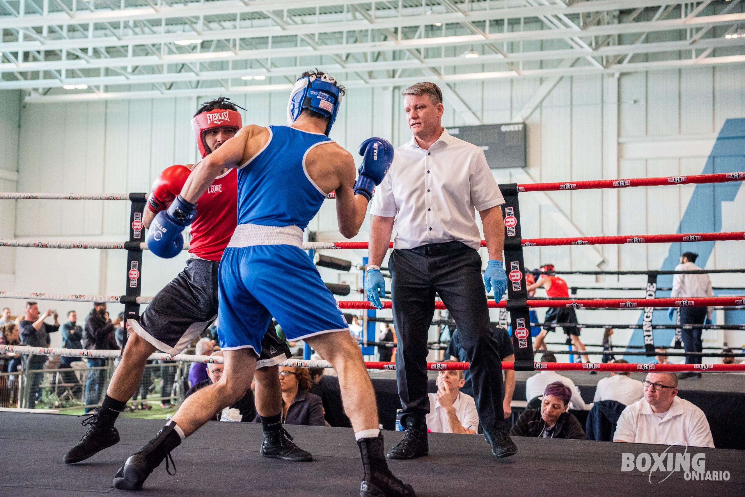 News | Boxing Ontario